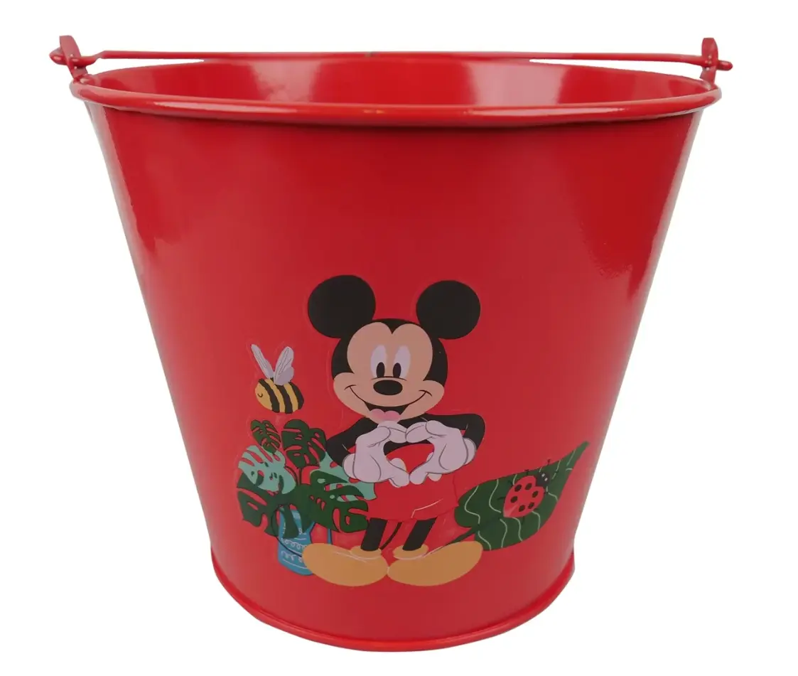 Disney Emmer Mickey d17h15cm - Top Tuincentrum