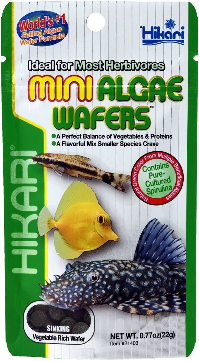 Hikari Mini algae wafers 22gr - Vissenvoer - Top Tuincentrum