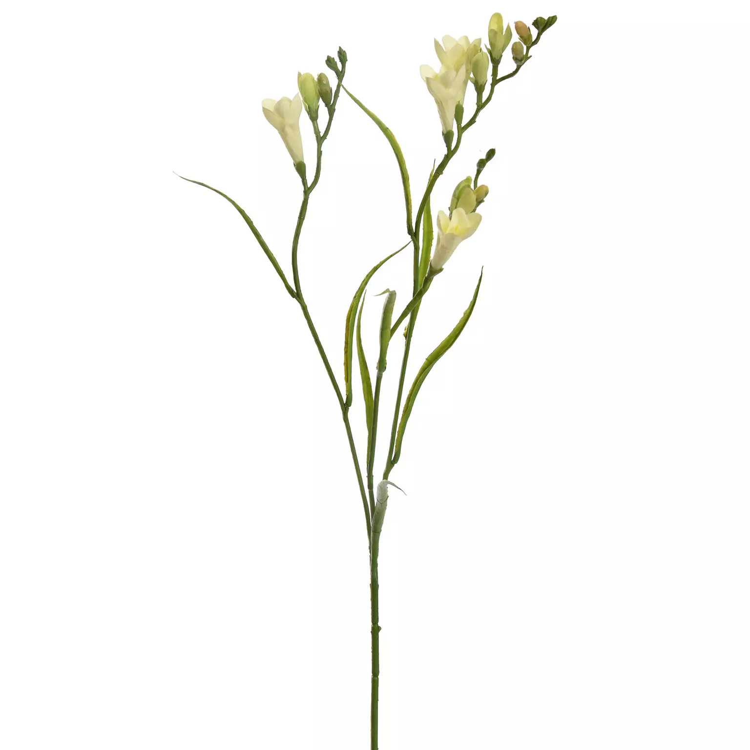 Kunstbloem Freesia 65cm - groen - Top Tuincentrum Kunstbloem Freesia 65cm - groen - Top Tuincentrum